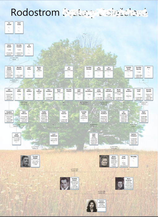 Grafický výstup :: Rodokmen-strom-zivota